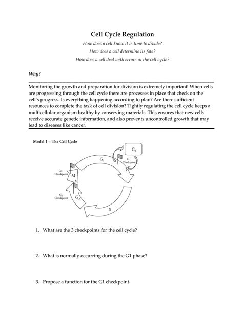 Free Cell Cycle Regulation Worksheet Download Free Cell Cycle