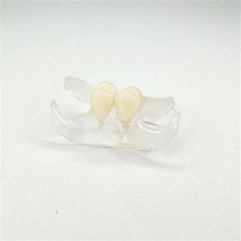 Dental Appliance Collection By Revived Smiles