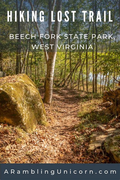 Hiking Lost Trail At Beech Fork State Park