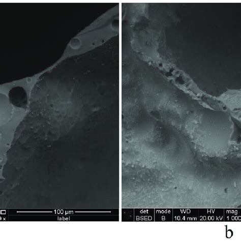 Results Of Electron Microscopy Of Foam Glass Samples A Primary Download Scientific Diagram