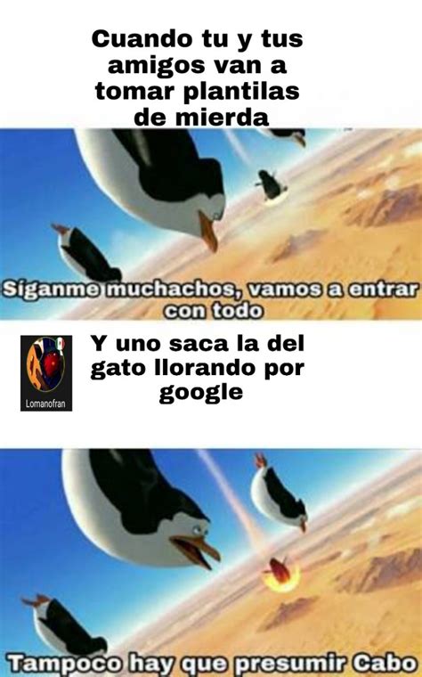 Pinguinos Madagascar Memes