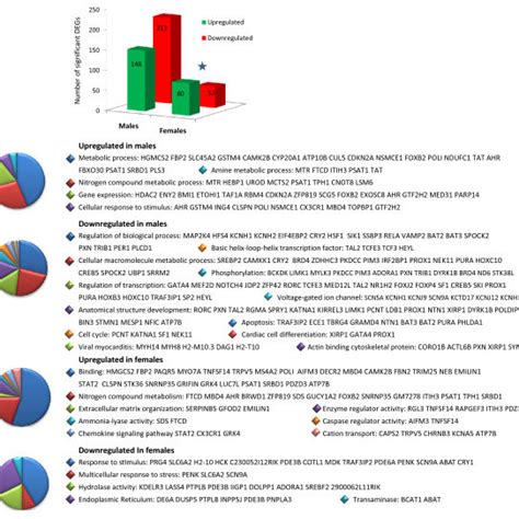 Trans Fat Feeding Induces Sex Specific Alterations In Cardiac Gene