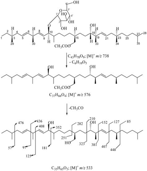 Fragmentation Patterns Of Compound 1 Download Scientific Diagram