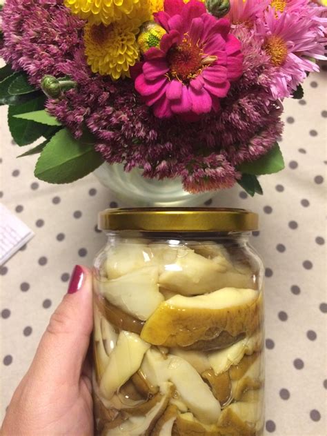 Kiseli Vrganji Lifewithcookie