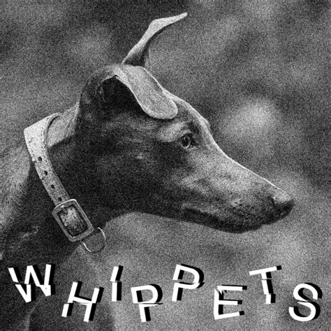 Whippets Whippets Goodbye Boozy Digital
