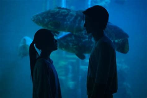 Pasangan Serial Ready Set Love Yang Happy Ending