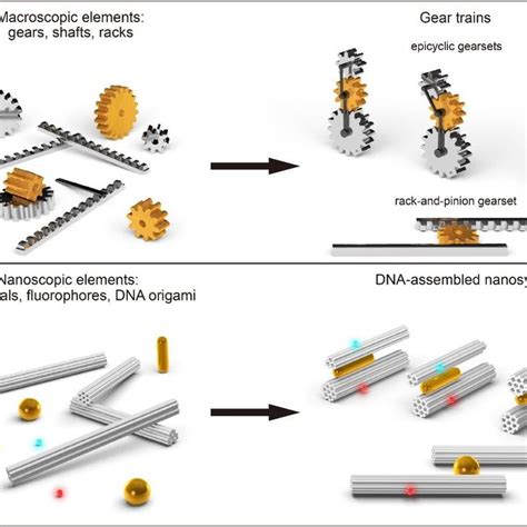 Schematic Of The Macroscopic And Nanoscopic Systems With Regulated
