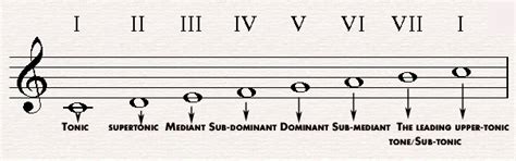 My Music Scale Degrees
