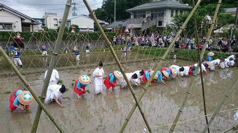 【6月】新田神杜御田植祭 鹿兒島‧薩摩川內旅遊情報 日本九州自由行