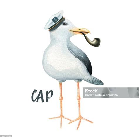 모자에 있는 배의 재밌는 갈매기 선장의 수채화 일러스트와 비문이 새겨진 흡연 파이프 어린이 해양 관광객 디자인 인쇄 패턴 엽서 옷용 가축우리에 대한 스톡 벡터 아트 및 기타