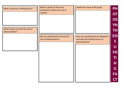 Aqa Bioenergetics Summary Question Sheets Teaching Resources