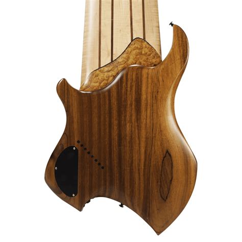 Djentar X Stevie T 20 String One Off 10s