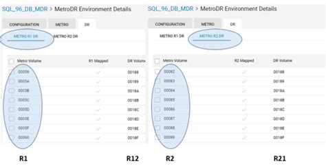 Step 4 Add Smart Dr Protection To Srdf Metro Storage Group Deploying Dell Emc Srdf Metro