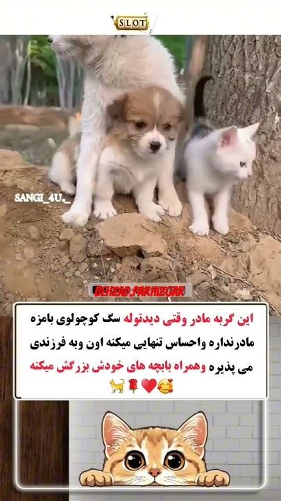 مهر مادریچقدر مهربان Youtube