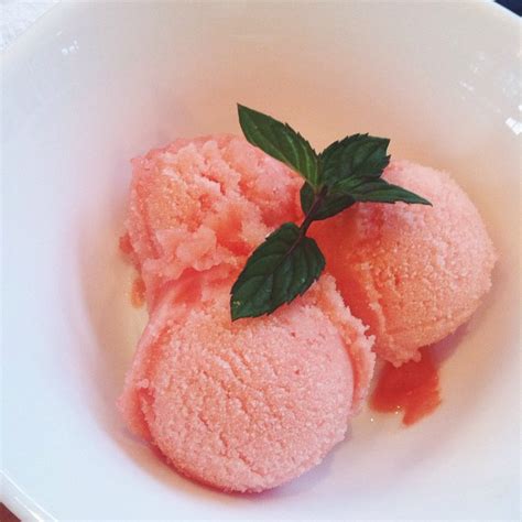 Watermelon And Tomato Sorbet Recipe The Feedfeed