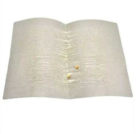 Stick Rat Trapsis Hormiess In Bady Sticky Mouse Board Lazada Ph