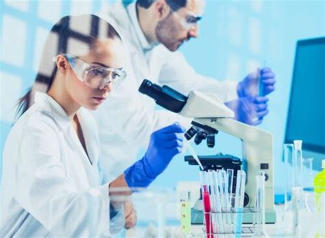 Mold Remediation Protocol Houston Tx Veterans And Senior Discounts