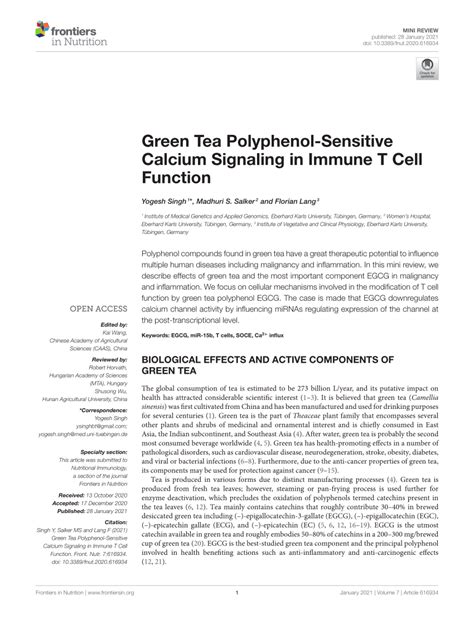Pdf Green Tea Polyphenol Sensitive Calcium Signaling In Immune T Cell