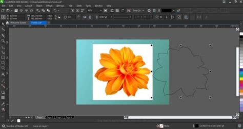Removing Backgrounds From Images In CorelDRAW And PHOTO PAINT Corel Discovery Center