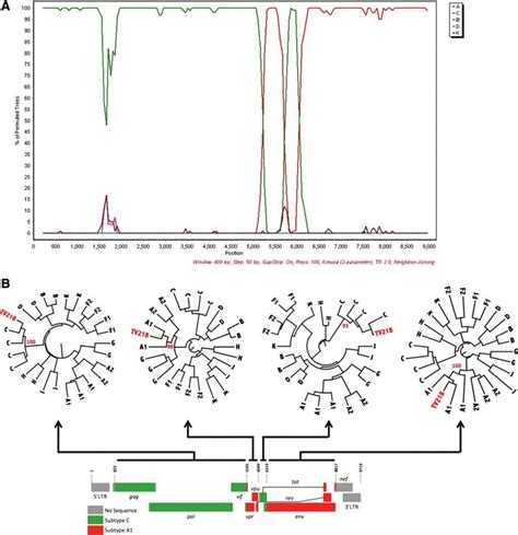 Unique Recombinant Form Of Tv218 A Bootscan Similarity Plot