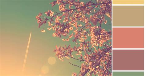 Color Correction Rules Retouching Labs