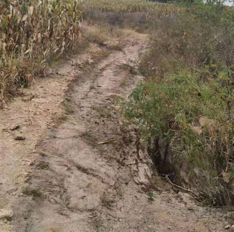 道路维修助力村屯改善田间出行条件 中国吉林网