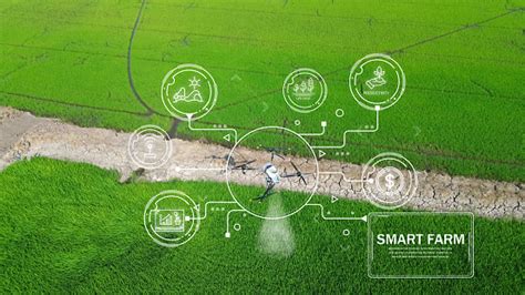 농업용 드론이 밭에 비료를 뿌리기 위해 날아갑니다 스마트 농부는 연구 분석 지형 스캐닝 기술 스마트 기술 개념과 같은 다양한 분야에 드론을 사용합니다 내비게이션에 대한 스톡