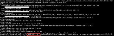 [mmsegmentation] mmsegmentation的linux安装记录 linux 安装mmsegmentation0 24 1