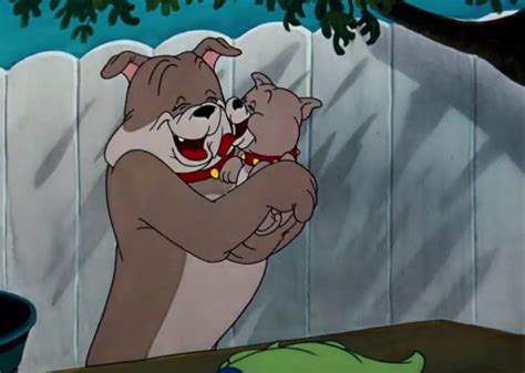 Spike 🐶 Spike Tom And Jerry Cartoon Pics Tom And Jerry