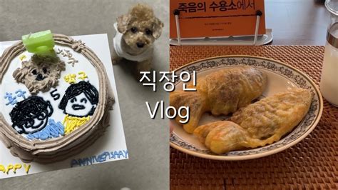 직장인 브이로그 벌써 결혼 5주년이라고 벌써 2024년 11월 말이라고 나이 먹는 것이 실감 나지 않은 30대