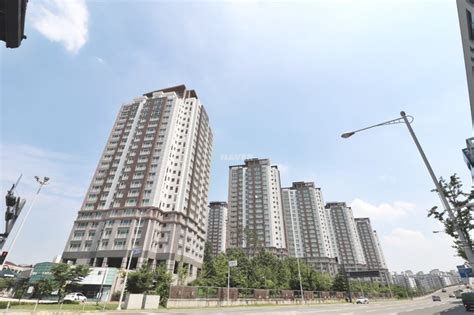 아파트 정보 공유 김포 한강신도시 장기동 아파트 비교 분석쌍용예가자이캐널시티꿀팁 네이버 블로그