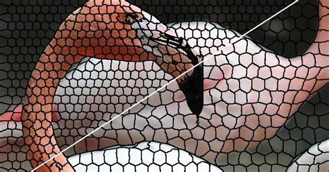 Popscan Superpixel Algorithm Implemented In Java