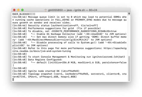 Getting Started With Node Js And Apache Ignite