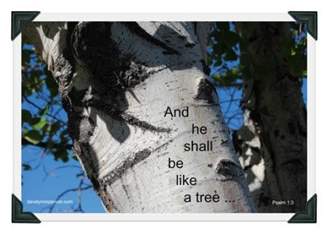 An Interconnected Root System Davalynn Spencer