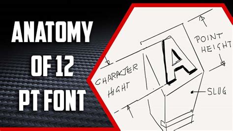 12 pt font the art of perfect typography