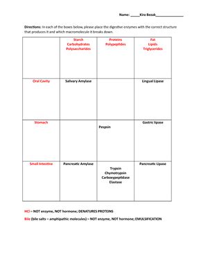 Week 6 Lab Reproductive System Week 6 Lab Instructions Blended Reproductive Systems