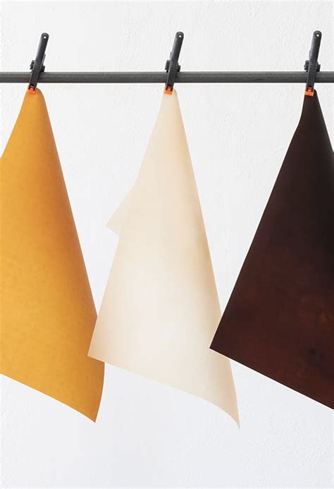 Bio Based Industry Is It Possible Interni Magazine