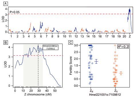 Single Qtl Analysis A Lod Values At Each Marker Across The Genome