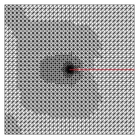 The Adaptive Meshes Of 1st Eigenvalue After 5th Iteration By Algorithm