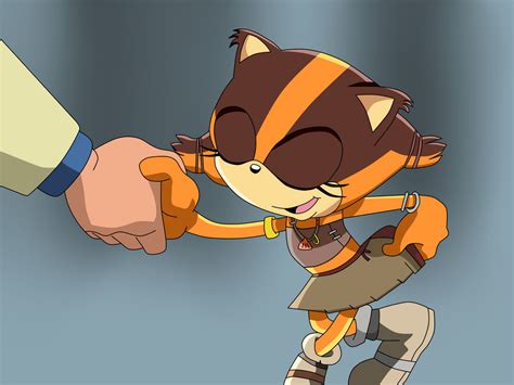 Sticks In Sonic X By Jaedenwalton On Deviantart