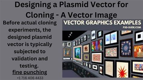 Designing A Plasmid Vector For Cloning — A Vector Image By Fine Punching Aug 2023 Medium