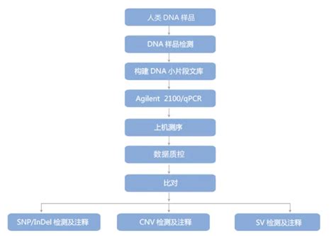动植物基因组测序