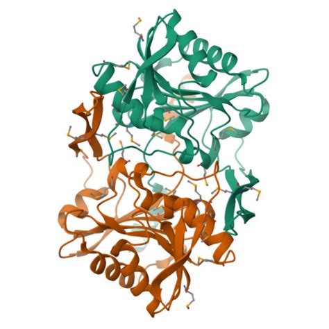 Rcsb Pdb 1ilv Crystal Structure Analysis Of The Tm107
