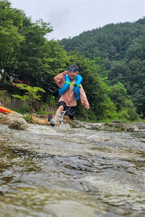 영월 캠핑장 법흥계곡 금방아캠핑장 추천 역시 진리 네이버 블로그