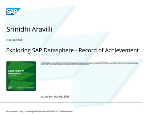 Sapdatasphere Dataanalytics Srinidhi A