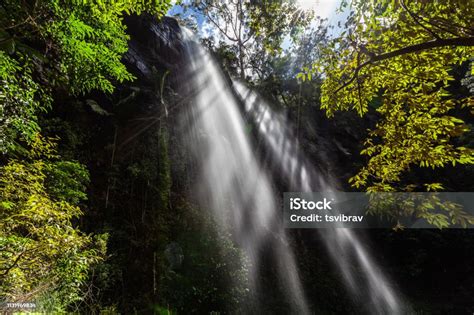 열대우림에서 높은 폭포와 무성 한 초목을 통과 하는 아름 다운 빛의 광선 0명에 대한 스톡 사진 및 기타 이미지 0명 Unesco 조직된 단체 경관 Istock
