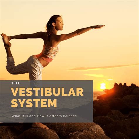 The Vestibular System What It Is And How It Affects Balance Premier