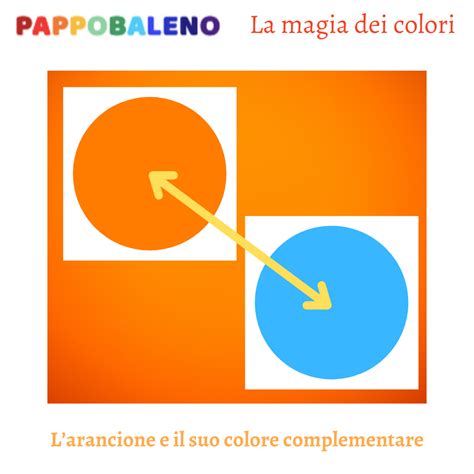 La Magia Dei Colori La Vivacità Dellarancione Pappobaleno