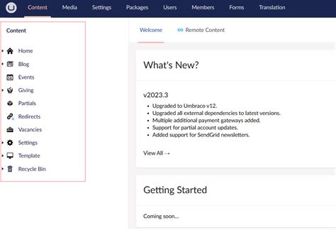 Introduction To Umbraco N3o Support