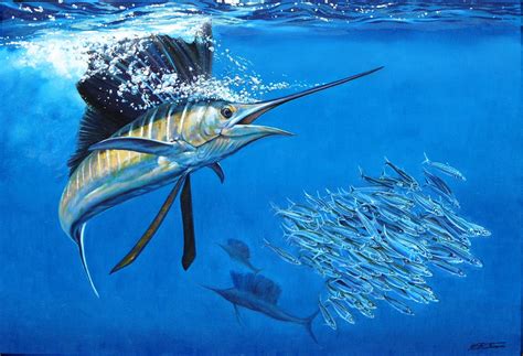 Sailfish And Bait Ball Animáles De Océano Fotos De Pesca Arte De Peces